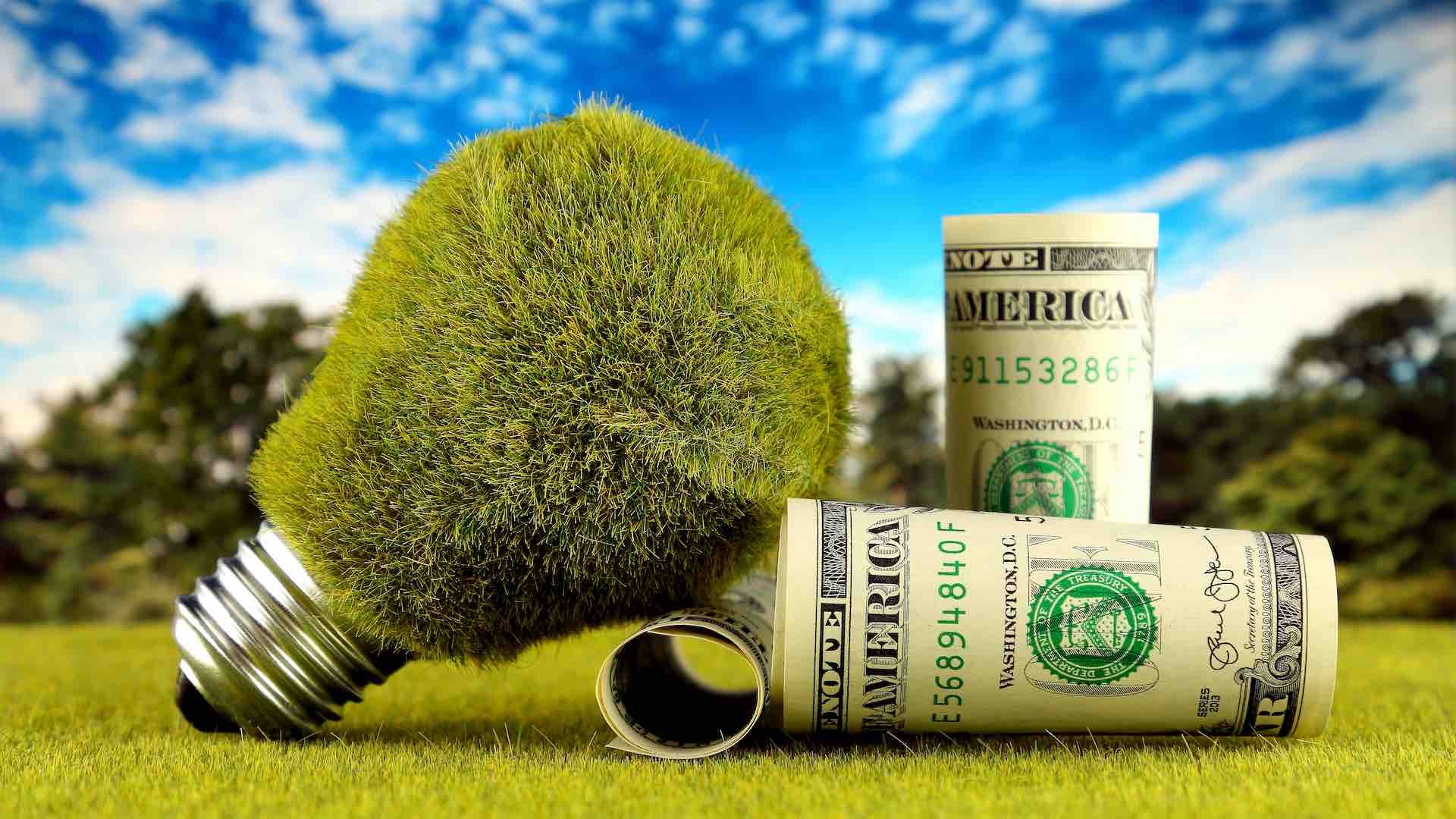 IFC breaks financing record with $56B in 2024, 40% for climate - Tabriz ...